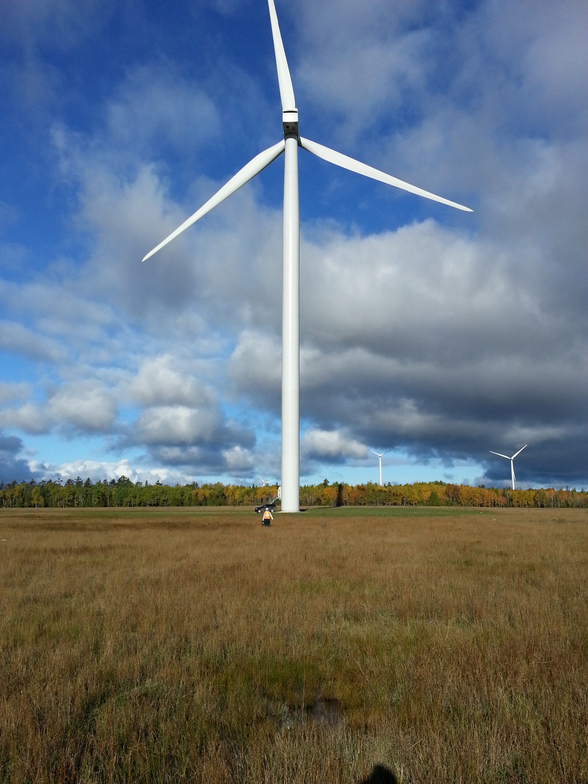 Internships are about more than getting coffee | Aercoustics